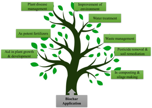 Biochar: A Comprehensive Review on a Natural Approach to Plant Disease ...
