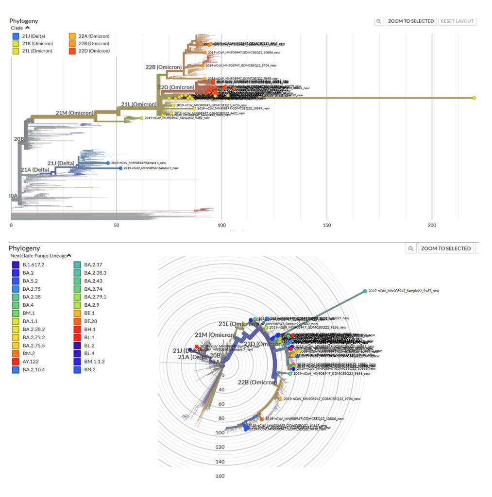 Characterization and Distribution of SARS-CoV-2 Omicron Variant and its ...