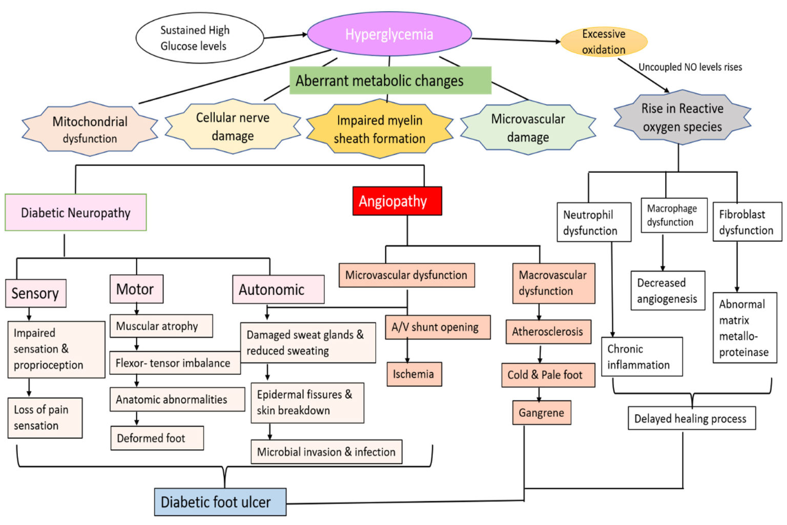 Insights on MDR Mechanism of Pseudomonas aeruginosa with Emphasis on ...