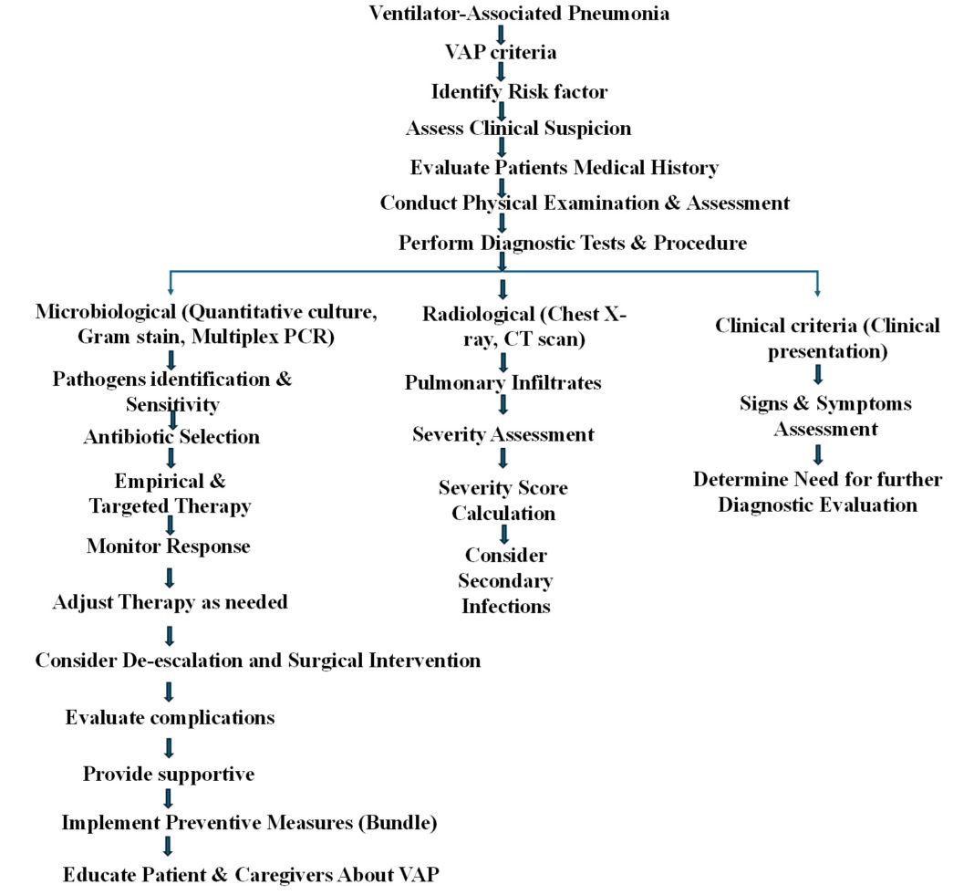 Pathogenesis, Diagnosis and Therapeutic Strategies for Ventilator ...