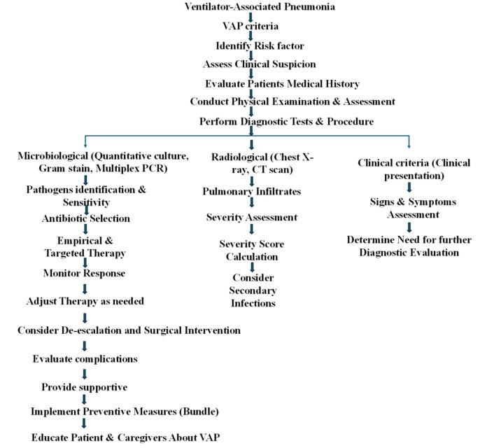 Pathogenesis, Diagnosis and Therapeutic Strategies for Ventilator ...