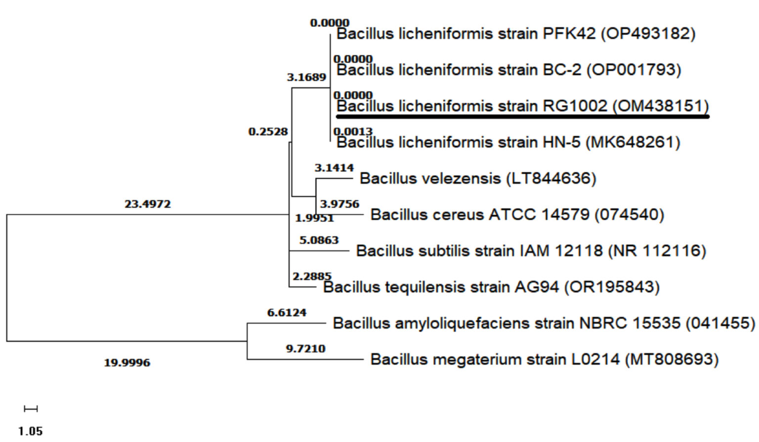 Lichenysin Produced by Bacillus licheniformis RG1002 Inhibit the ...