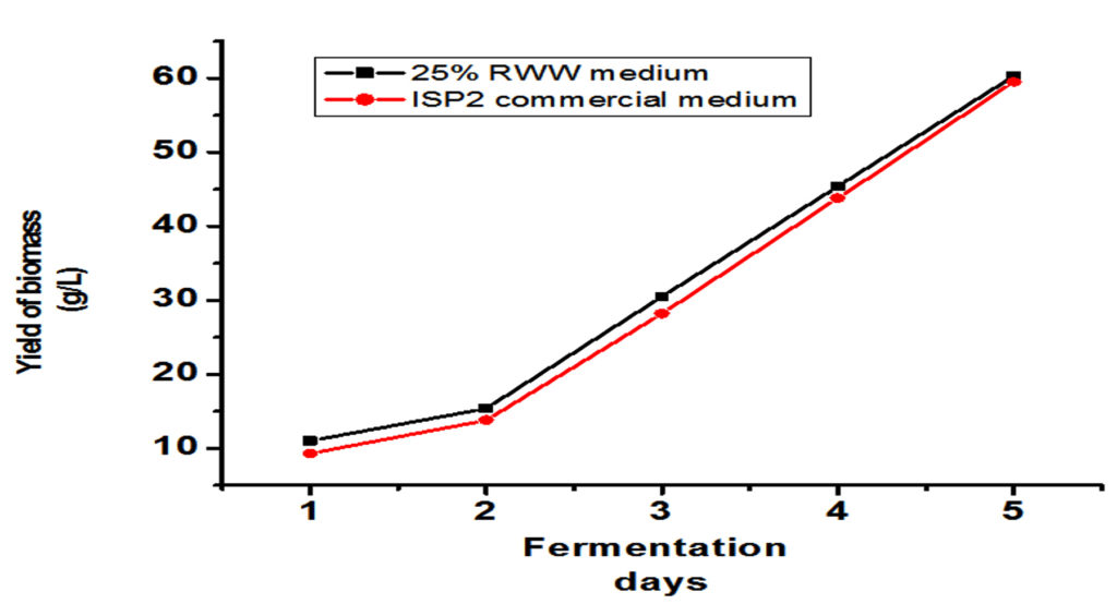 Biodiesel Production from Rice-Wash Water with Streptomyces fradiae ...
