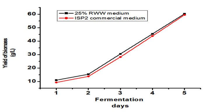 Biodiesel Production from Rice-Wash Water with Streptomyces fradiae ...