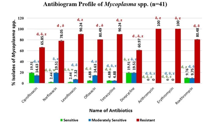 Identification and Antimicrobial Susceptibility Patterns of Neisseria ...
