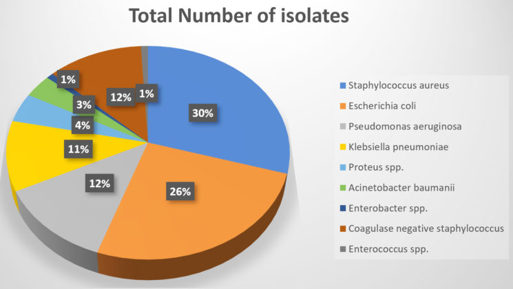 Prevalence and Antimicrobial Susceptibility Pattern of MRSA amongst ...