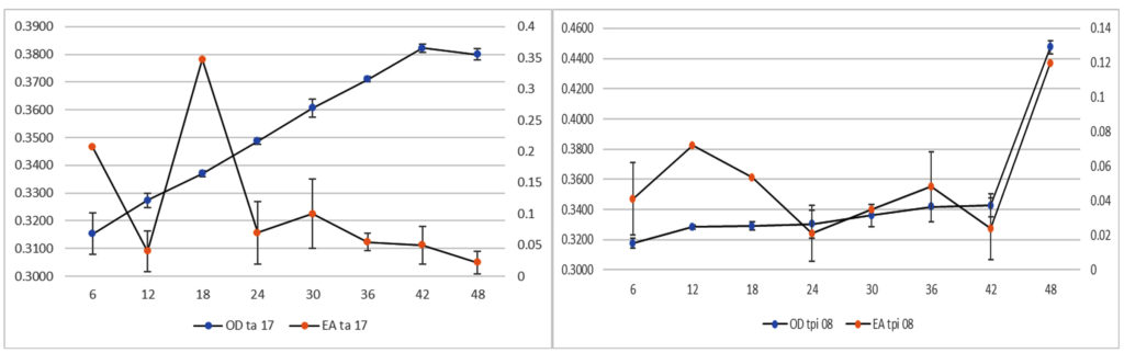 Isolation, Identification, and Characteristics of Local Yeast Isolates ...