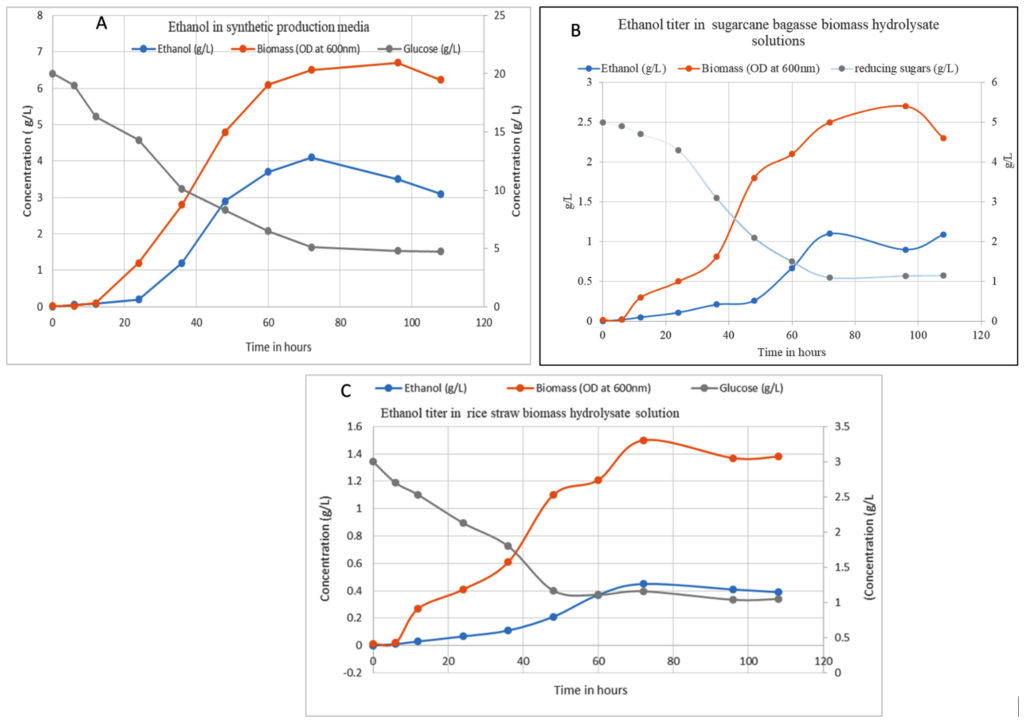 Microbial Induced Biotechnological Processes for Biofuel Production ...