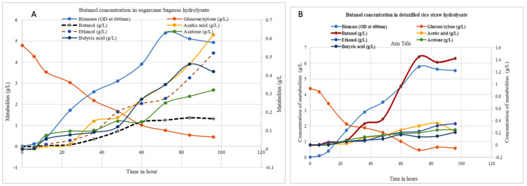 Microbial Induced Biotechnological Processes for Biofuel Production ...
