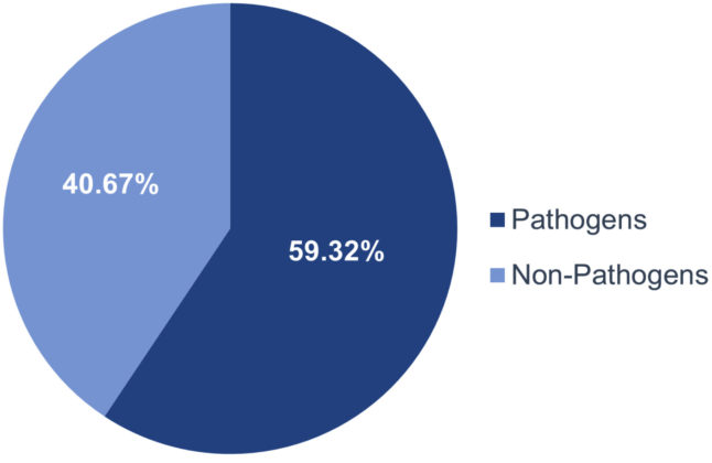 Identification, Antibiotic Profiling of Potential Pathogenic Bacteria ...