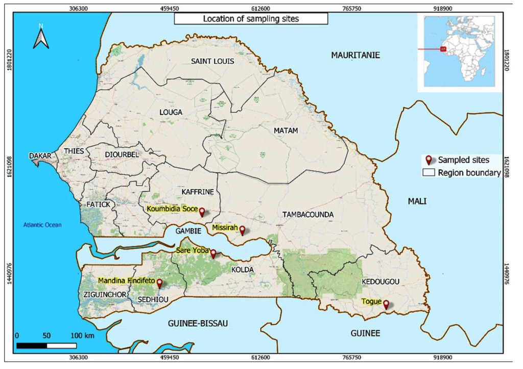 Arbuscular Mycorrhizal Fungi and Soil Enzyme Activities in Different ...