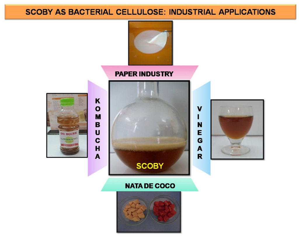 Plausible Avenues and Applications of Bioformulations from Symbiotic ...