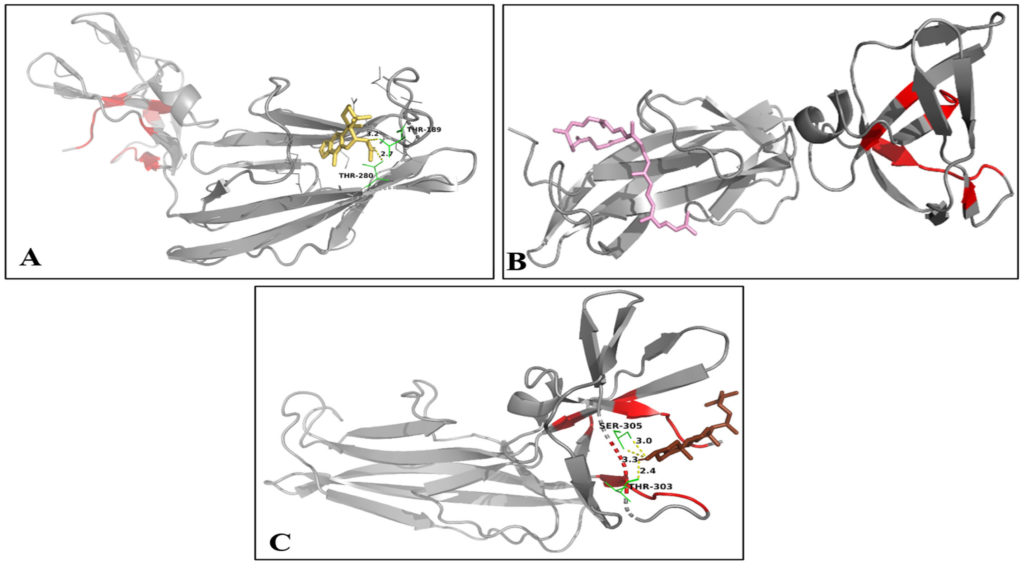 Caesalpinia bonducella Seeds Extracts are Non-toxic to the Gut Bacteria ...