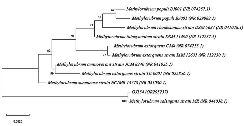 Isolation and Characterisation of Pink Pigmented Facultative ...