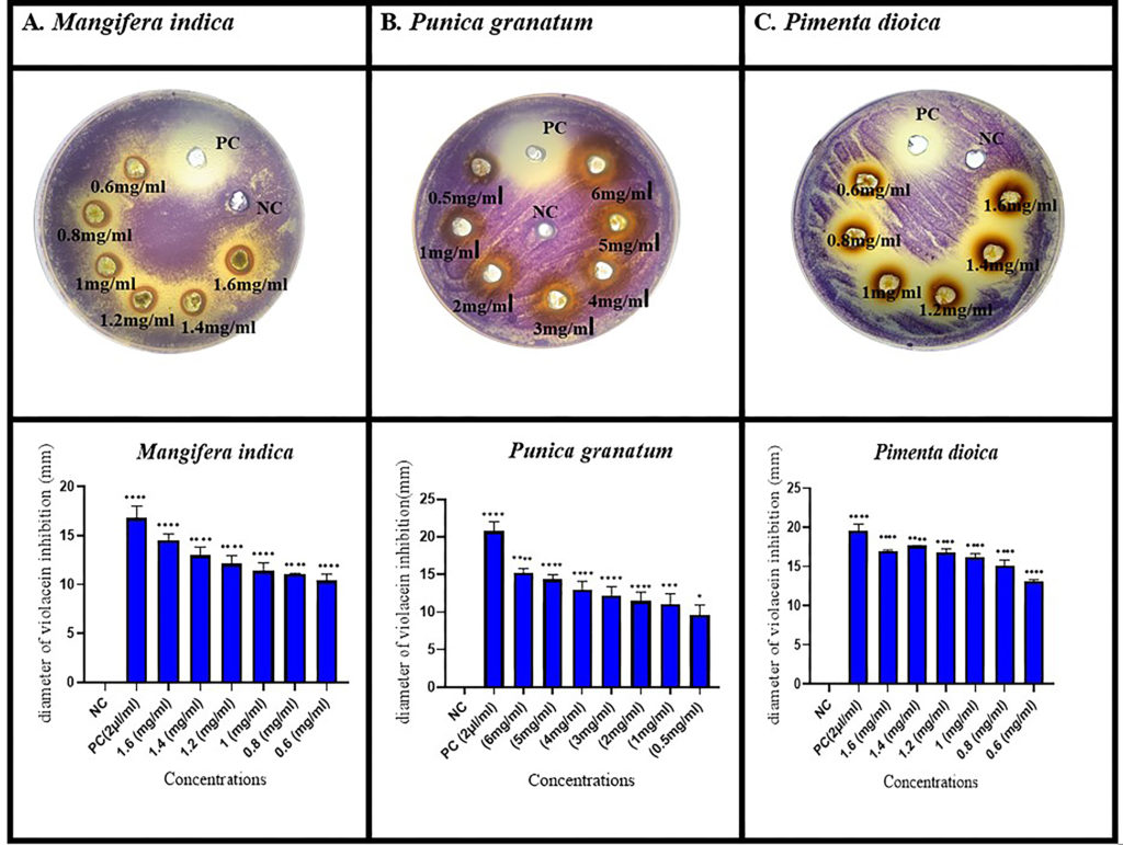 Comparative Study on Quorum Modulatory Effect of Selected Medicinal ...