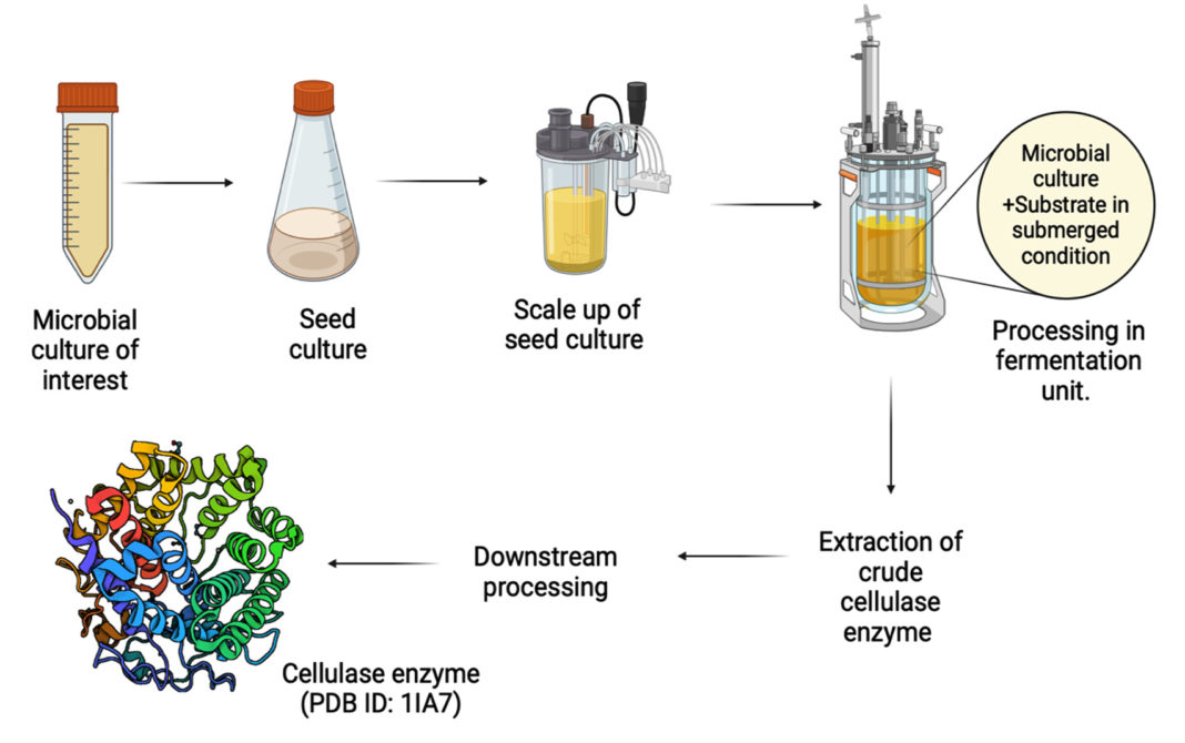 Microbial Cellulase Production: Current Technologies and Future ...