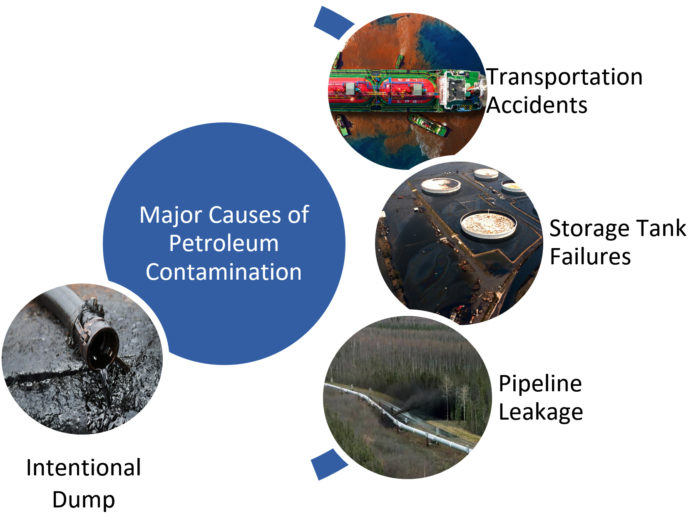 Microbial Bioremediation of Petroleum Contaminated Soil: Structural ...