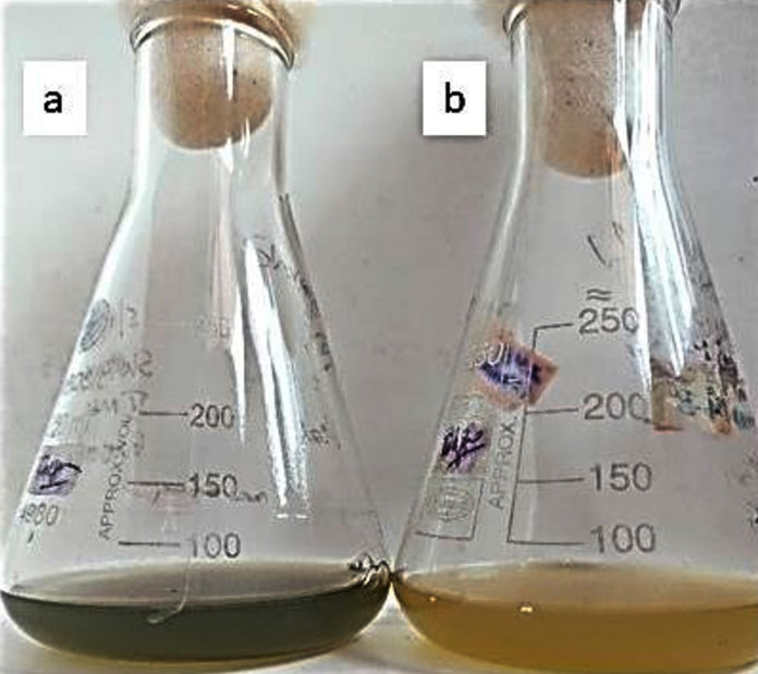 Production and Antimicrobial Activities of Pyocyanin Extracts from ...