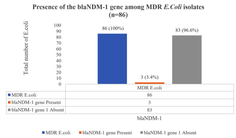 Rise of Carbapenem-Resistant Escherichia coli and the Concerning ...