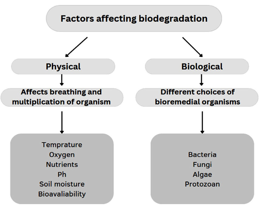 Microbial Bioremediation of Petroleum Contaminated Soil: Structural Complexity, Degradation ...