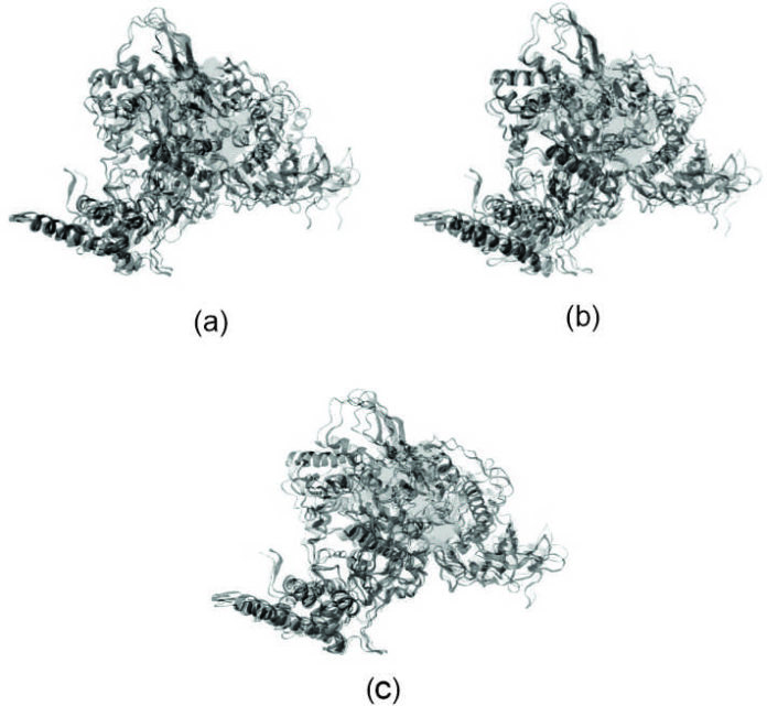 In silico Molecular Docking Analysis Reveals Successful Protein Ligand ...