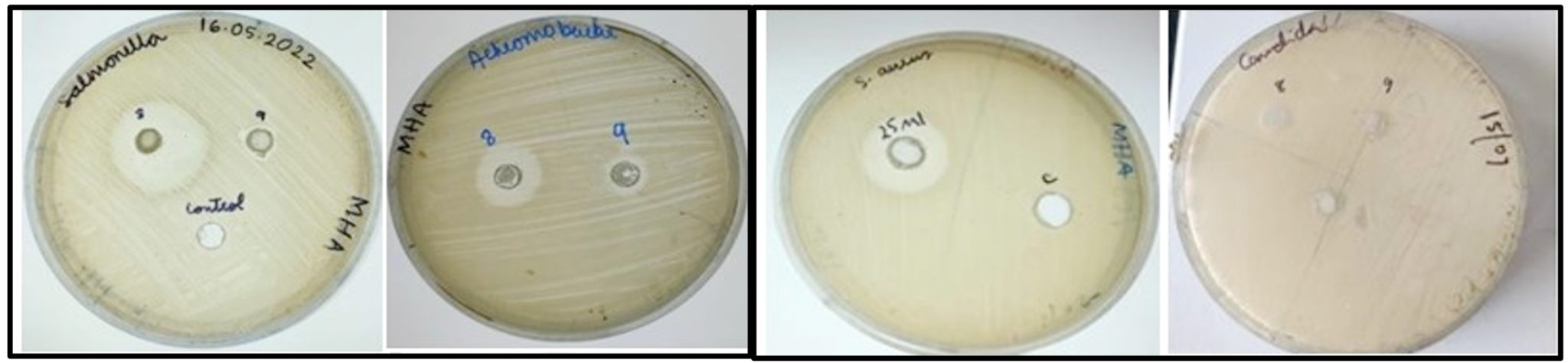 Production and Antimicrobial Activities of Pyocyanin Extracts from ...