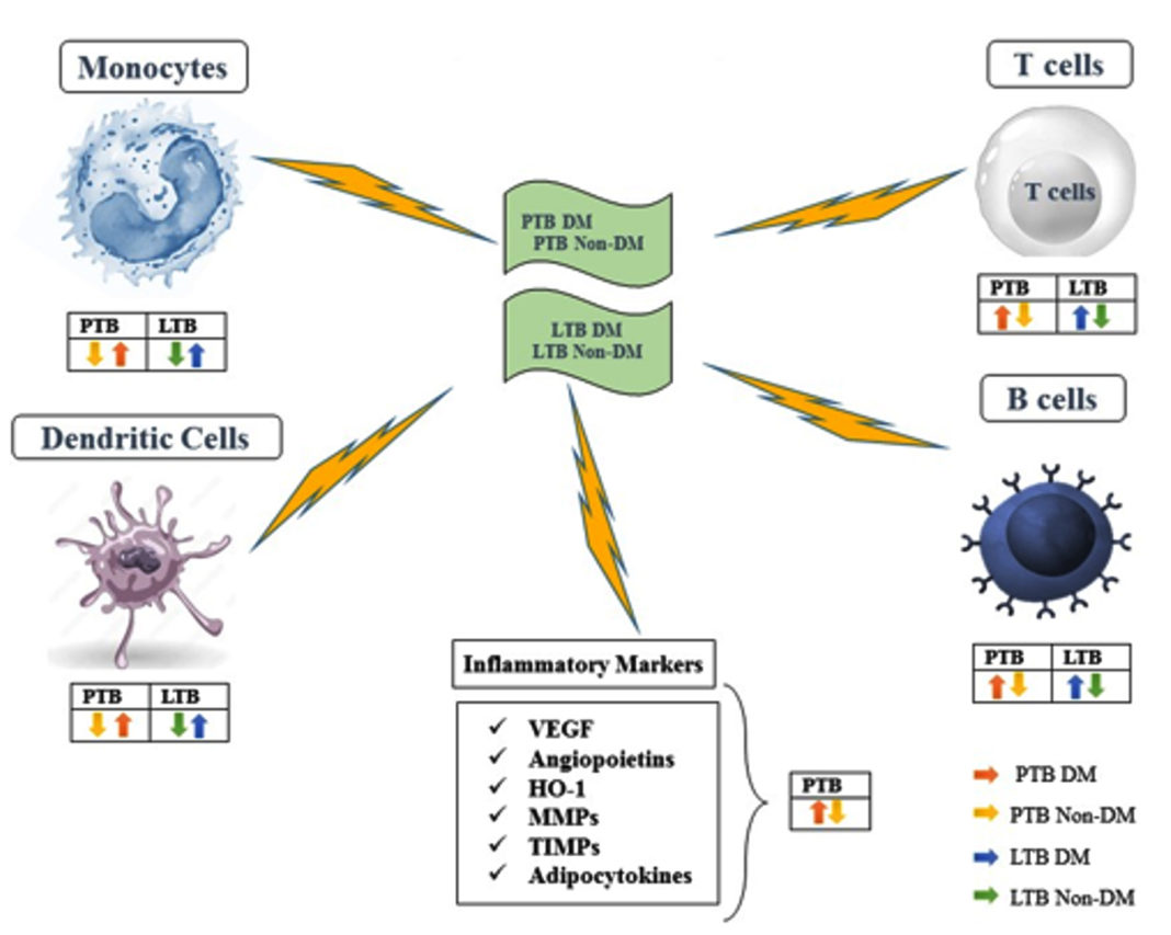 Exploring the Co-occurrence of Tuberculosis and Diabetes Mellitus: A ...