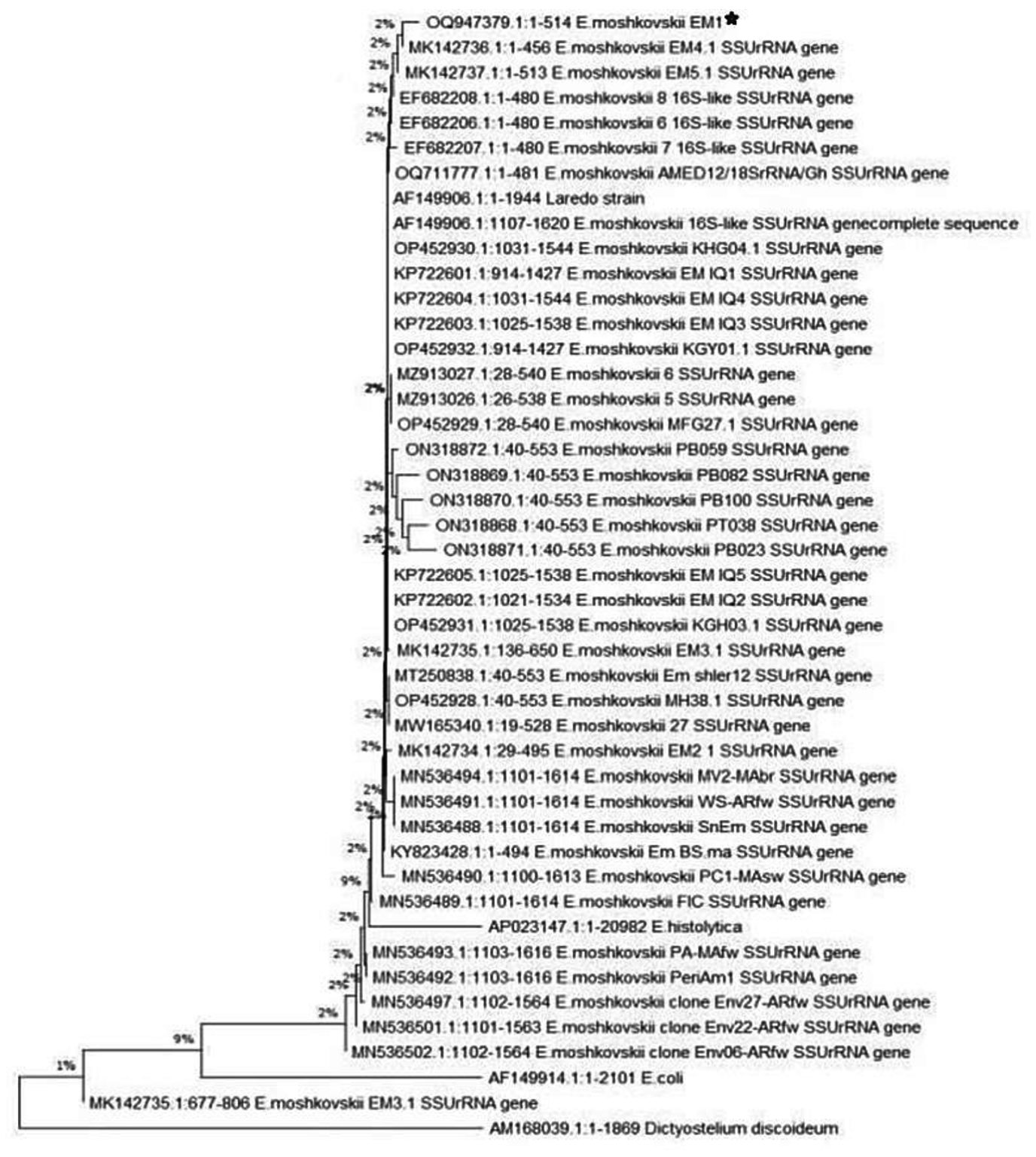 First Report on PCR-based Detection of Entamoeba moshkovskii from A ...