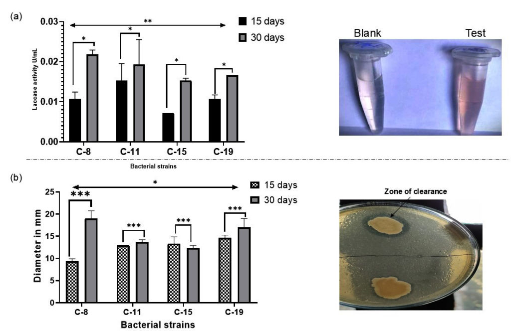 Bacterial Isolation and Evaluation for Degradation of Unpretreated LDPE ...