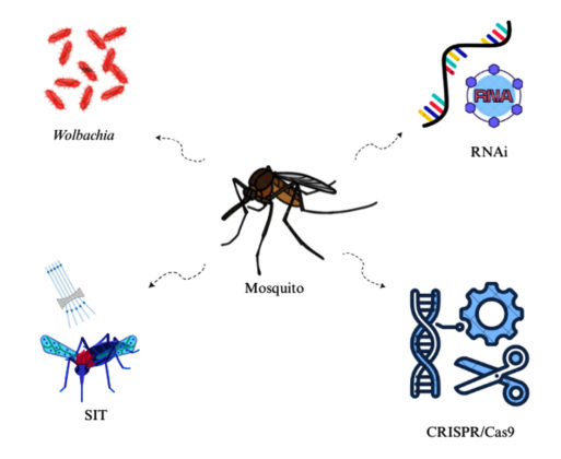 Advanced Techniques to Control Mosquitoes and their Disease ...