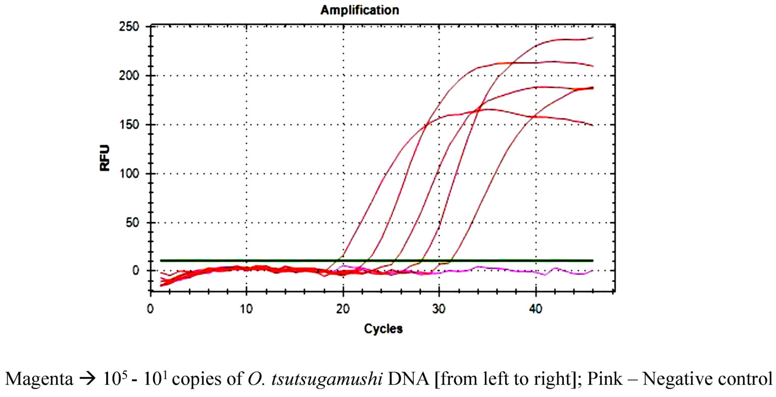 Scrub Typhus Diagnosis by Enzyme Linked Immunosorbent Assay (ELISA ...